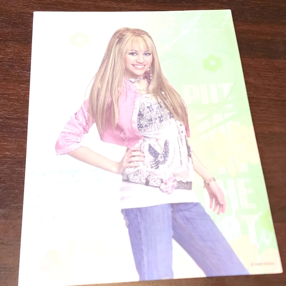 Accents | Hannah Montana Pinup Bundle | Poshmark